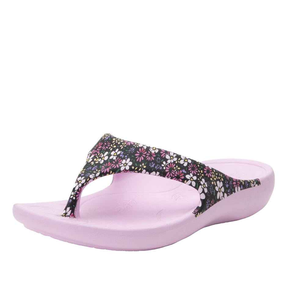 CLEARANCE – Alegria Shoe Shop